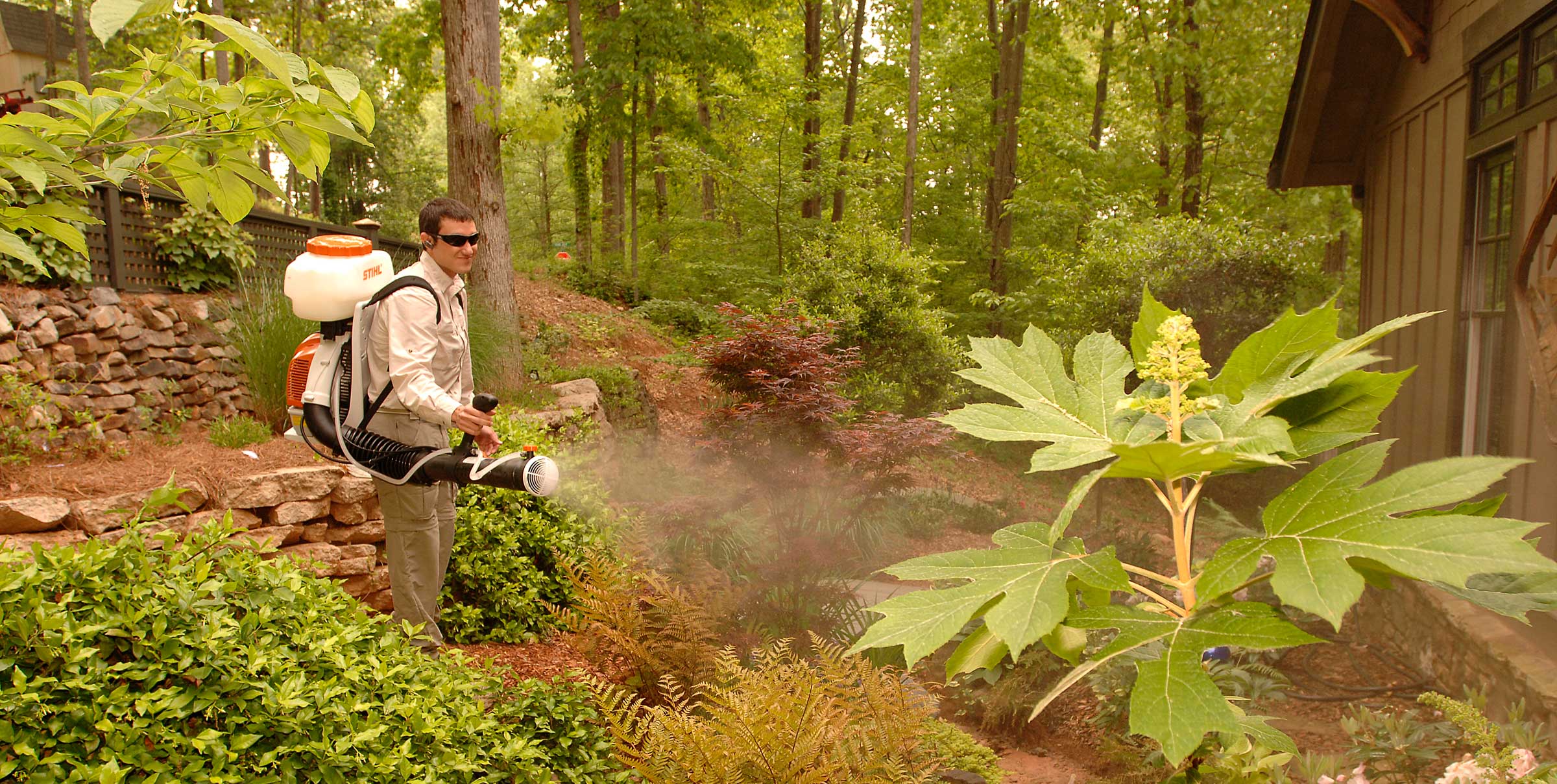 Mosquito Masters | Atlanta Mosquito Control, Mosquito Prevention, Safe ...
